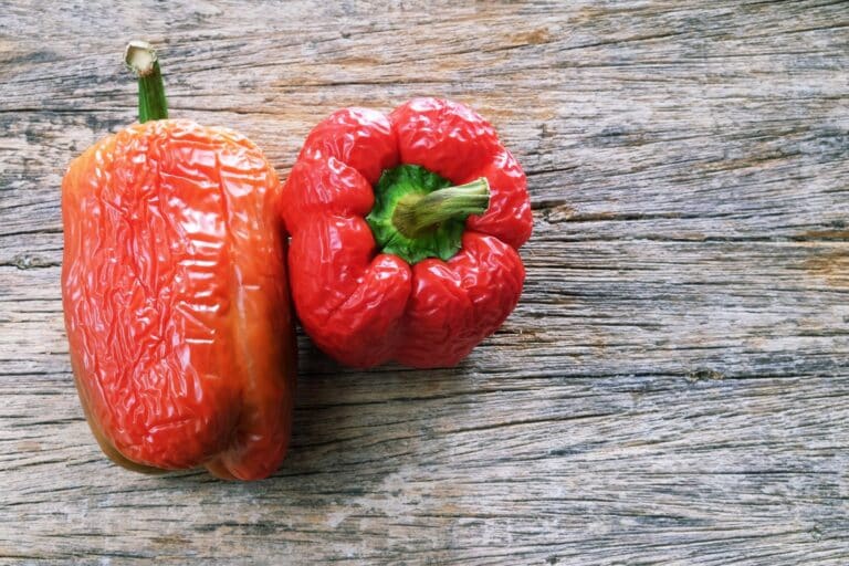 Do Peppers Go Bad? What To Look For - PepperScale
